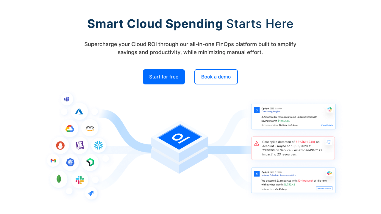 Introduction | OpsLyft Documentation